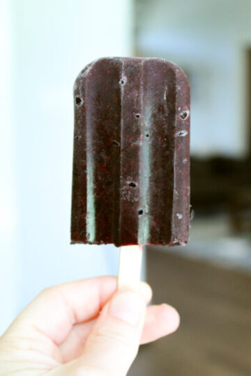 How To Easily Make Real Fruit Popsicles - Scratch To Basics
