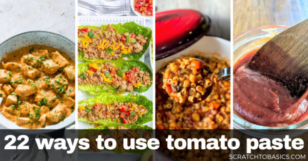 22 Delicious Tomato Paste Recipes For Your Kitchen - Scratch To Basics