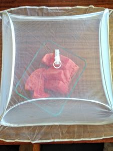 15 Extremely Easy Ways to Keep Flies Away Outside